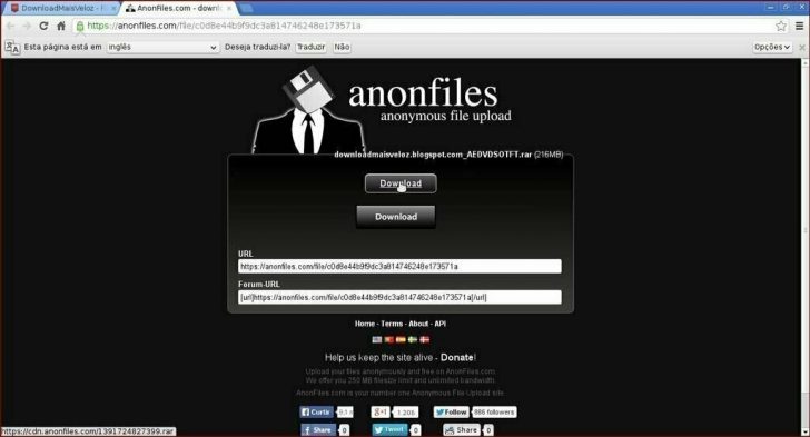 Anonfiles Download
